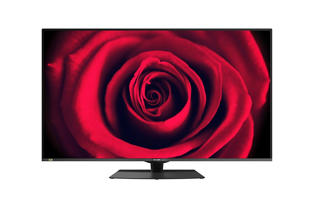 輕鬆享受8K質感生活！全新Sharp Aquos The Scenes 8K電視在台上市 - ZEEK玩家誌
